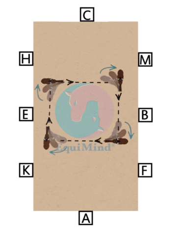 Viertelwendungen – EquiMind