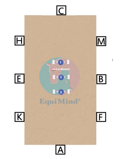 Viertelwendungen – EquiMind